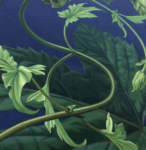 The Artist Mona Caron ”a Flower Can Grow From Concrete” Paola Lenti