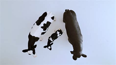 Krava Bik In Teliček Schleich Figurice
