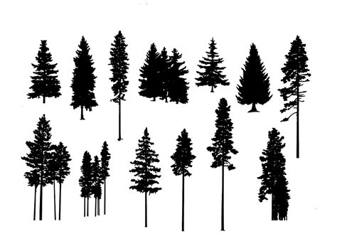 Pine Tree Silhouette Svg Pine Tree Digital Download