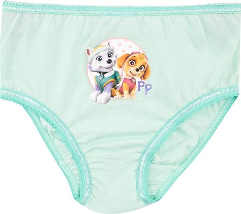 Toys For 3 Year Old Girls Paw Patrol Underwear 5 Pack Skye And Everest