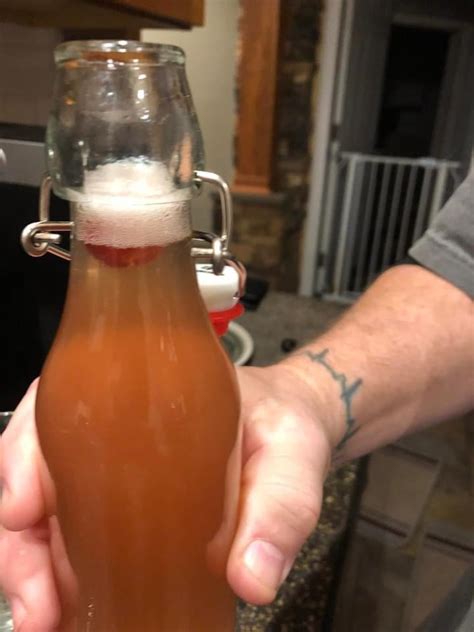 First Ferments Rfermentation