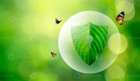 The Green Shield Protects Nature And Protects The Environment 17684348