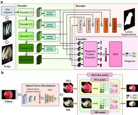 Schematic Diagram Of Npc Sdnet A Model Training Process Including