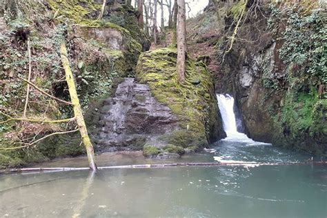 Ffynone Falls 11 Mar The Lodge