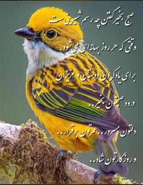 علی جمالی Posted On Linkedin