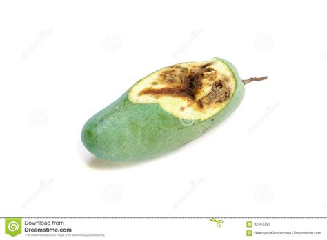 Rotten Mango Stock Photography CartoonDealer Com