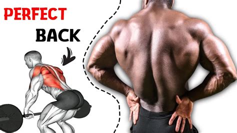 5 Perfect Exercises To Build A Big Back Back Workout Youtube