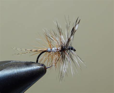 Small Stream Reflections September 2017