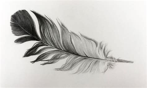 Feather Drawing Tutorial