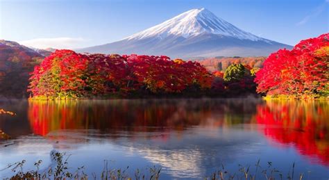 Premium Photo Beautiful Scenery Of Mount Fuji In Autumn