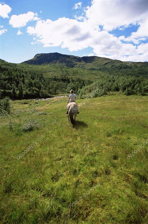 Vista Trasera De Una Joven Montando A Caballo En Un Entorno Rural 2024