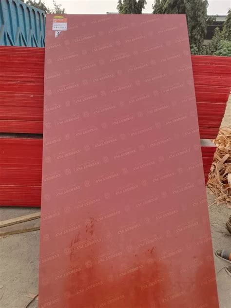 Shuttering Ply Pure Pf Phenolic Formaldehyde Thickness 12 Mm At