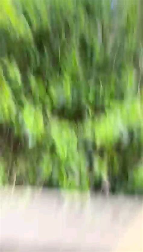 Northern Irish Lad Catches 2 Men Having Sex In A Public Park Proceeds To Tune Them Up With A