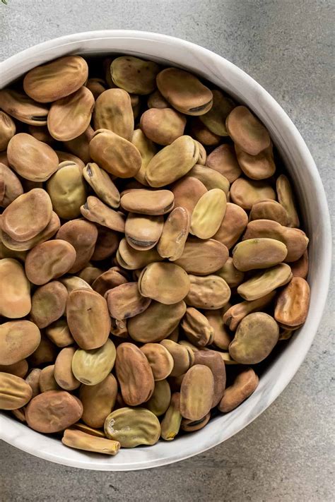 What Do Broad Bean Seeds Look Like At Lucy Darrell Blog