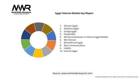 Egypt Telecom Market Size Share Trends Analysis And Forecast 2025