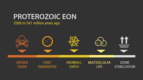 Proterozoic Eon From Eukaryotes To Multicellular Organisms Earth How