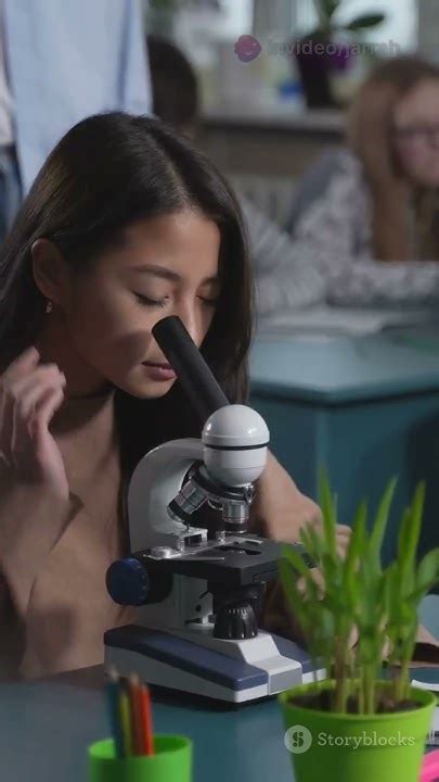 Expert Biology Assignment Help For Academic Excellence Biologyassignmenthelp