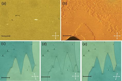 Real Left And Imaginary Right Parts Of The Complex Dielectric