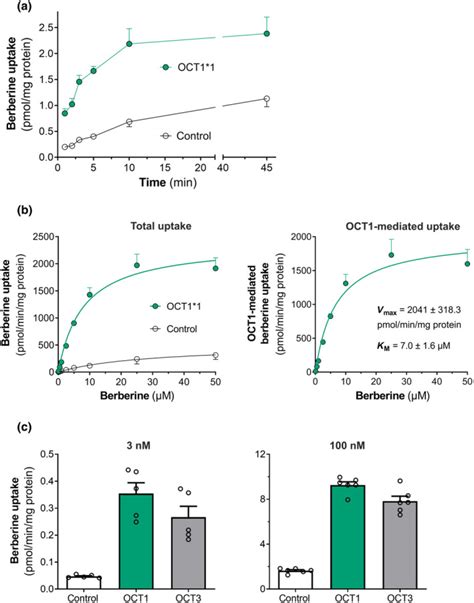 Sex‐dependent Effects Of Cyp2d6 On The Pharmacokinetics Of Berberine In