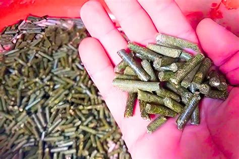 Découvrez Les Pellets Dolivier Une Alternative Surprenante Aux Granulés De Bois