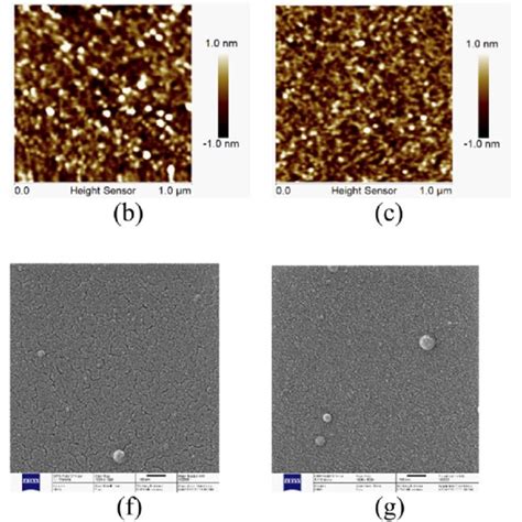 A Tem Image Of Mos 2 On The Sinx Membrane Sample E With 5 Nm Scale