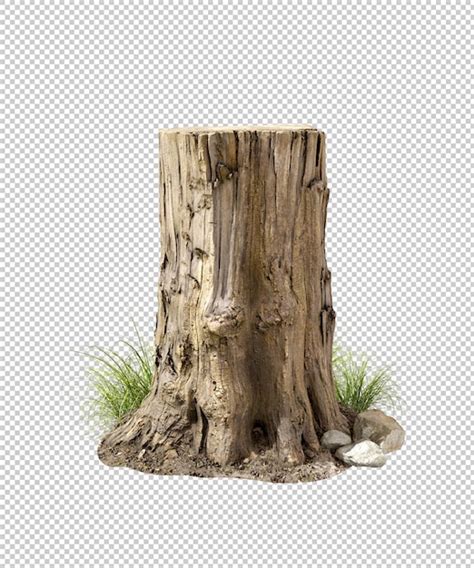 Premium Psd Cutout Tree Stump Roots Hardwood 3d Render