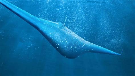 La Ciencia Ha Creado Un Nuevo Dron Submarino Que Parece Una Mantarraya