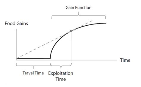 Graphical Model Of Patch Exploitation Adapted From Stephens 2008