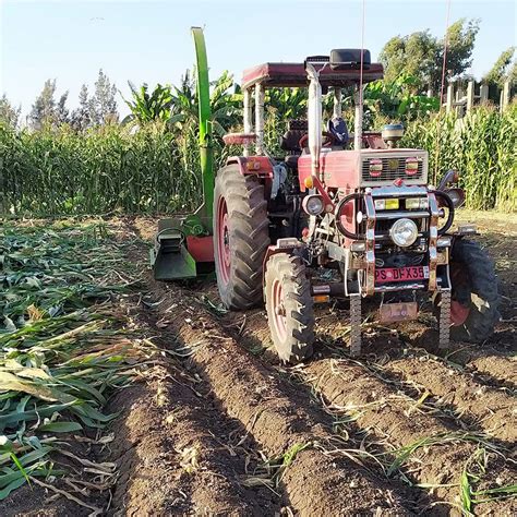 سلاج الزراه بل طن وبل قراط لي اي مكان Tanta