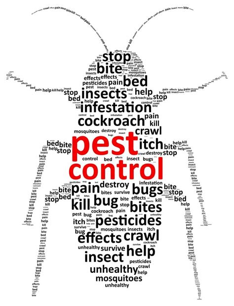 Precise Pest Control Spring Time Pest Precise Termite And Pest Control