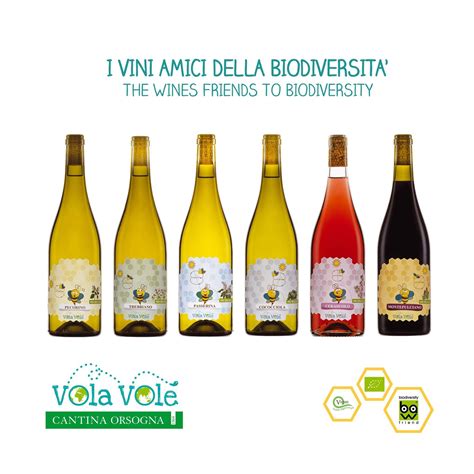 Vola Vole Range Prime Store Supply