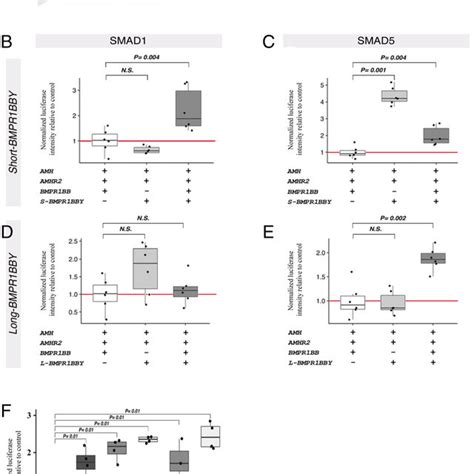 Junfeng Chen Principal Investigator Doctor Of Philosophy Chinese Academy Of Sciences
