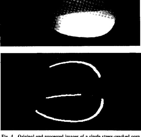 Figure 4 From Image Processing For Stress Cracks In Corn Kernels