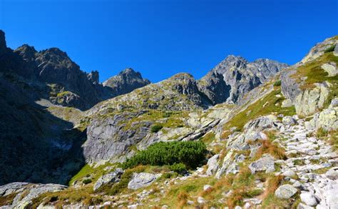 Mala Studena Dolina In Tatra Mountains Slovakia Stock Image Image