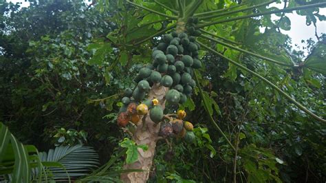 Scientists Blown Away By Tiny Creatures Ability To Endure Extreme