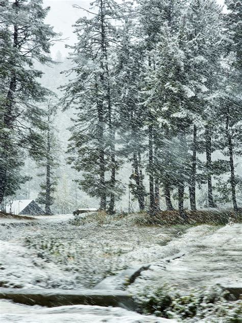 Najmus Saqib نجم ثاقب Najmussaqib9 Twitter