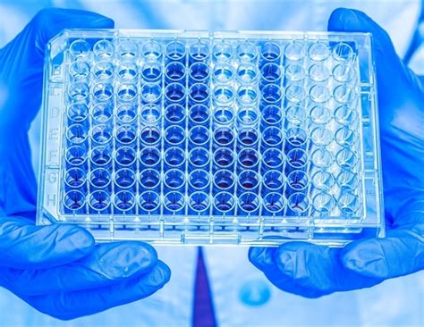 New Microplate For Bioflux Live Cell Imaging Workstations