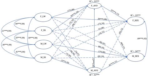Apimem With Attachment Avoidance As Mediator N 324 Couples Solid