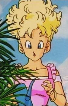 Bulmas Mother Dragon Ball Pictures