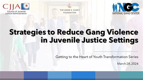 Strategies To Reduce Gang Violence In Juvenile Justice Settings Youtube