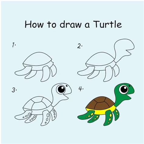 Step By Step Guide To Drawing An Easy Sea Turtle For Beginners Smart