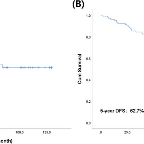 A Overall Survival Curve For Postoperative Treatment B Disease Free