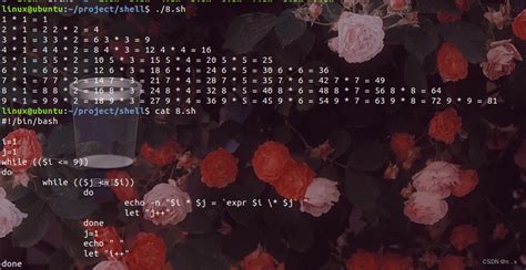 Shell脚本进行文件操作shell脚本操作文件 Csdn博客