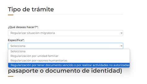 Regularization Rne Program Is A Backdoor To Residency In Mexico