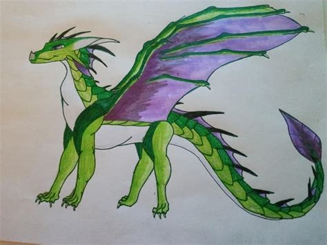Nightshade Reference Sheet By Alyconeum On Deviantart