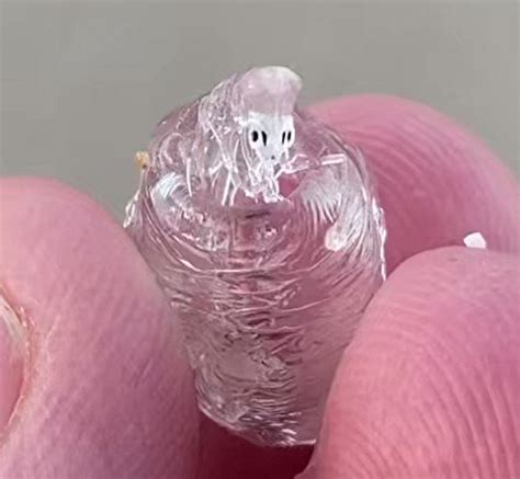 【驚愕】アフリカの深海1000mで ”とんでもないもの” が発見されてしまう ポッカキットポッカキット
