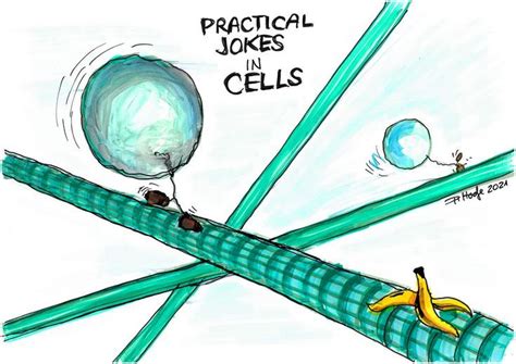 Practical Jokes In Cells Biology Humor Science Memes Biology Memes