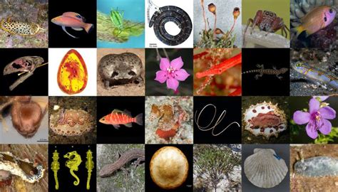 Rachel Cusick On Linkedin Lovescience