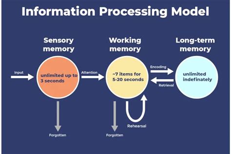 Our Top 5 Key Takeaways From Brighton Seo