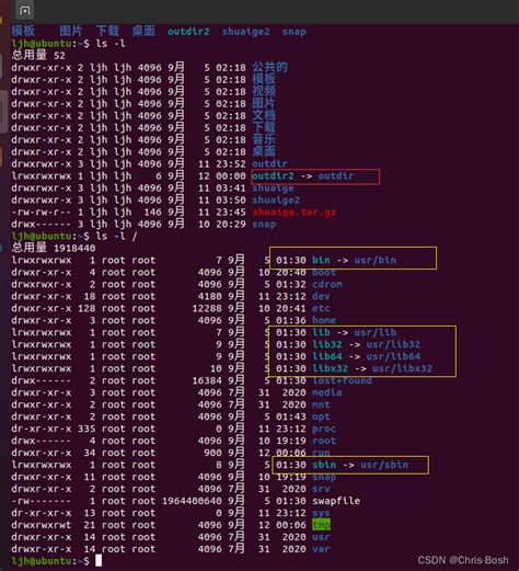 虚拟机ubuntu操作系统常用终端命令（1）（详细解释详细演示）虚拟机tar命令怎么用 Csdn博客